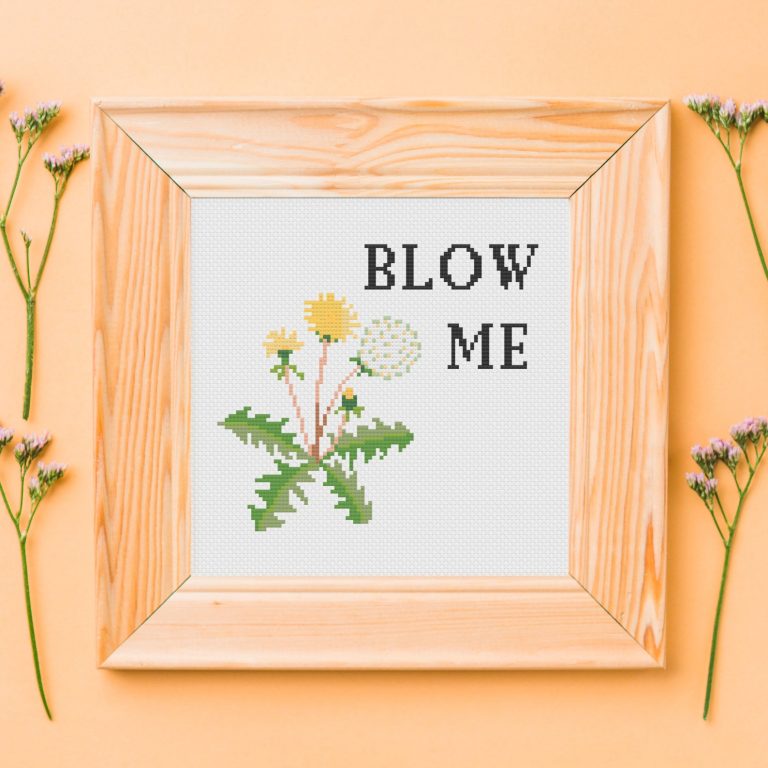 Inappropriate and Funny Cross Stitch Patterns - Sew What, Alicia?
